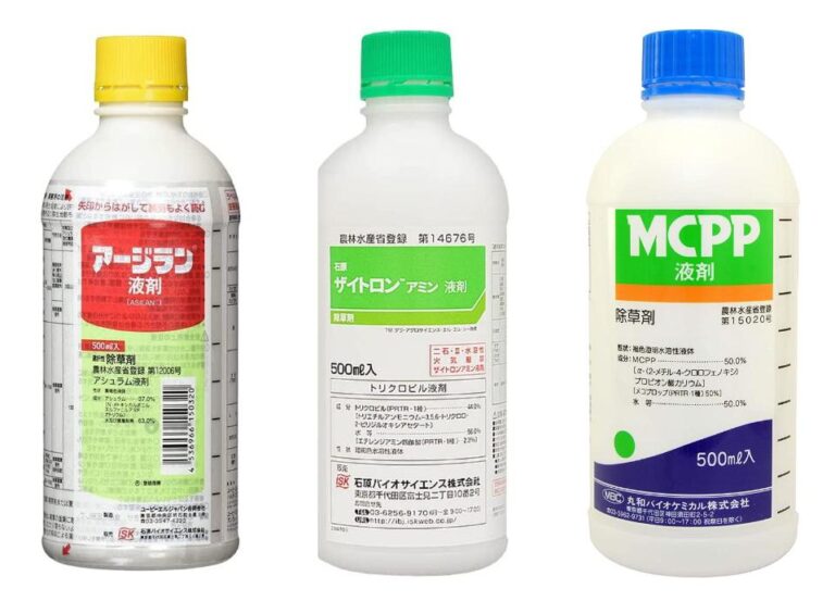 日本芝を張ろう② 芝生の雑草対策 - 横浜・藤沢で植木の剪定・伐採・造園は梶山庭苑で